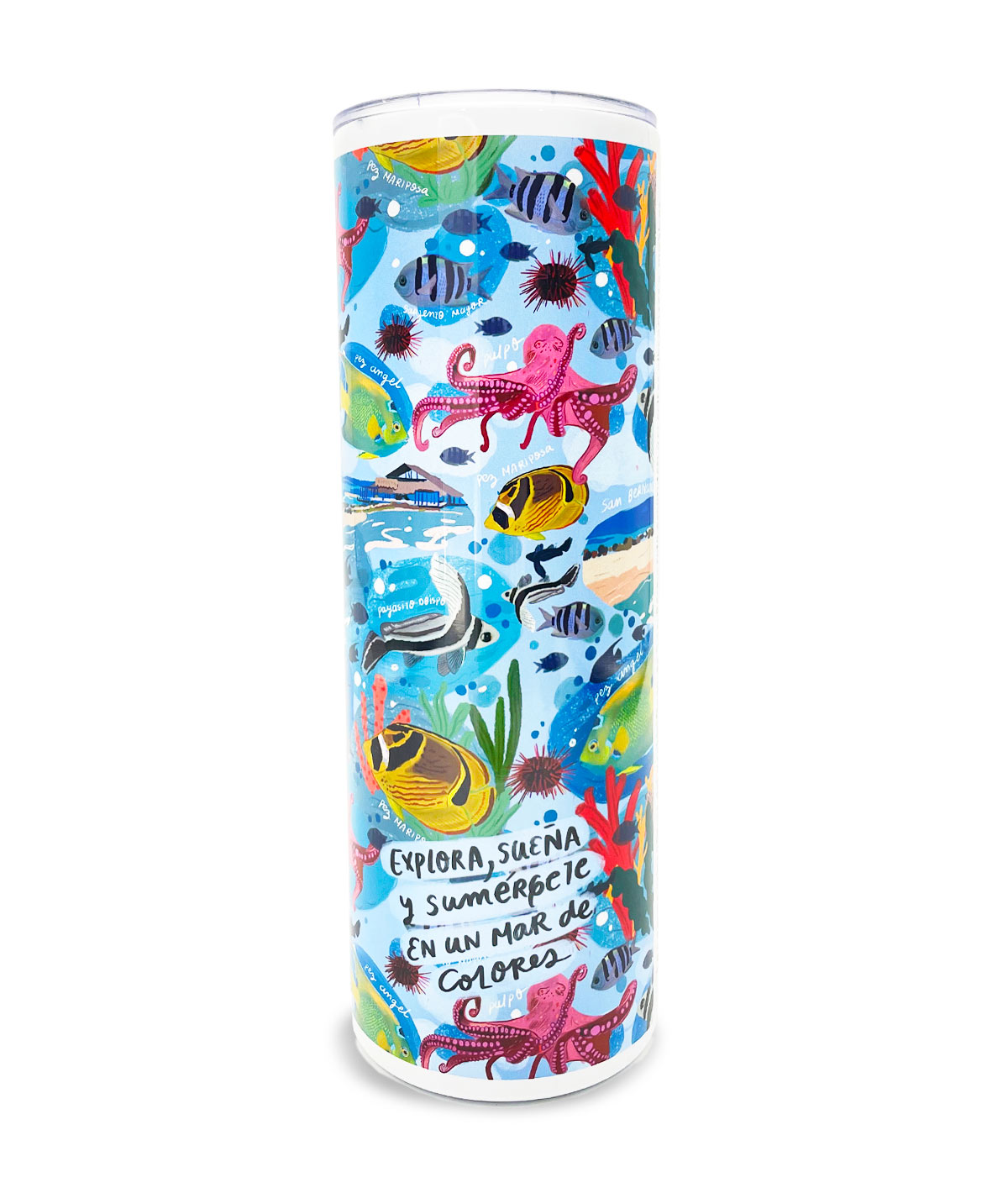 Termo Pitillo Colibríes Colombianos | Pandamug